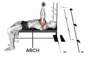 Top 10 Mike Israetel Best Exercises - DrMikeIsraetel.Com